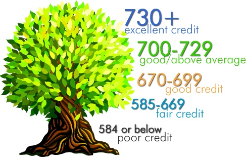 How to Raise Your Credit Score By 100 Points in 45 Days